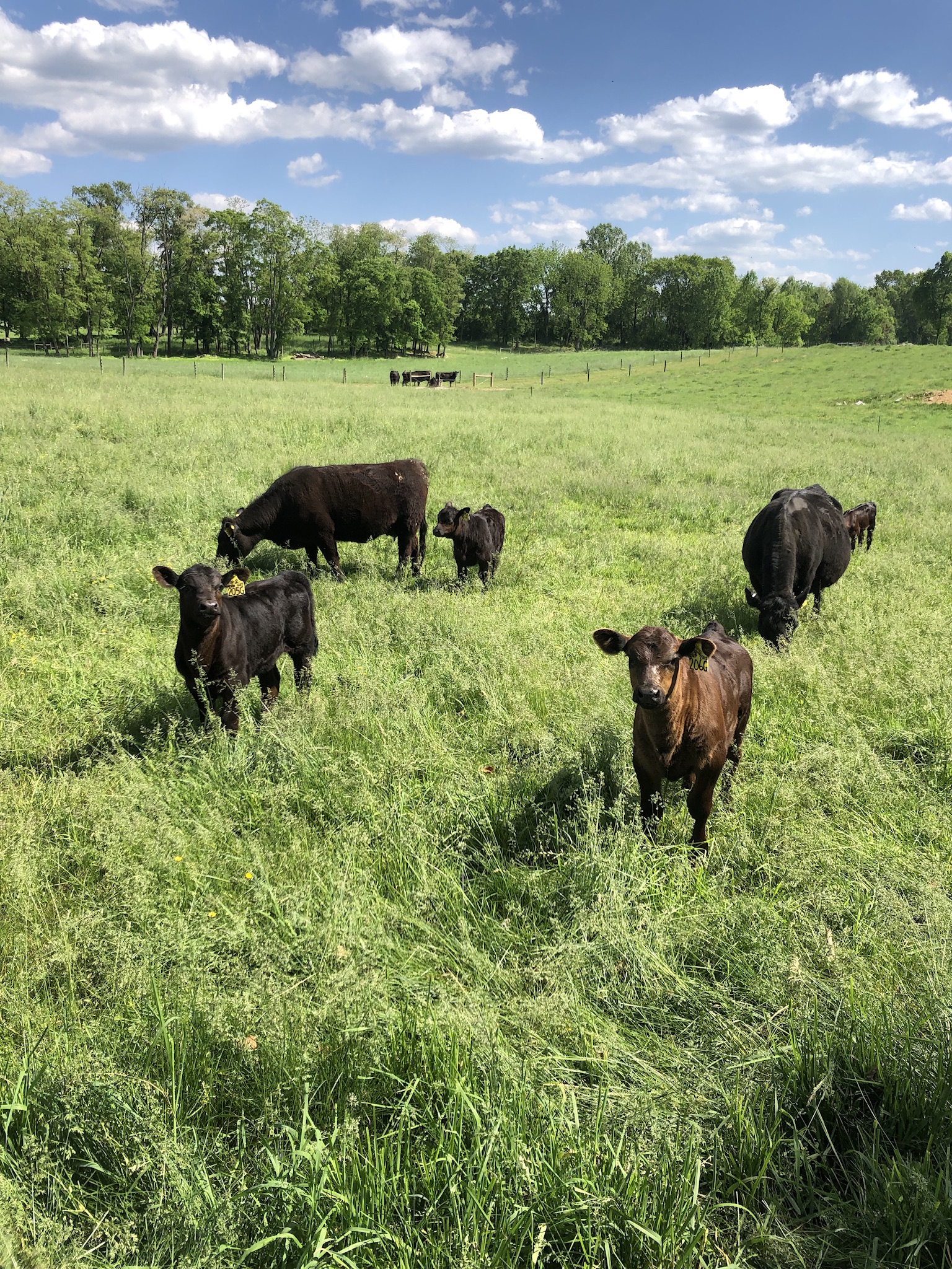 Agriculture | Washington County