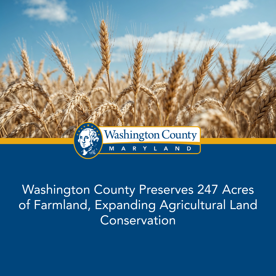 Planning & Zoning Department - Washington County