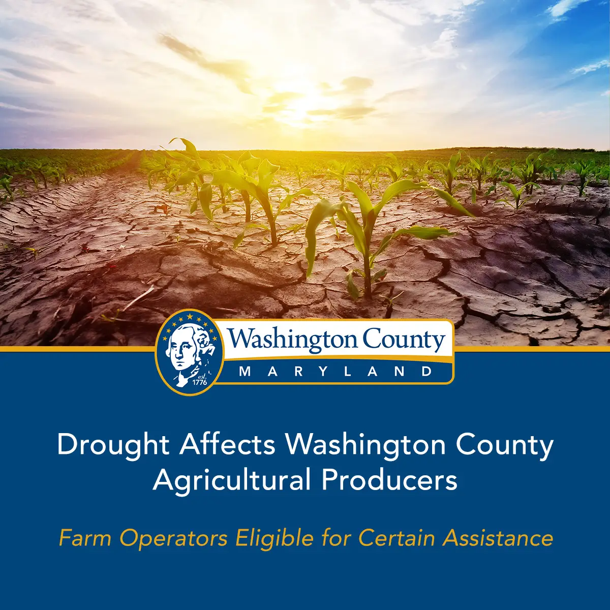 Drought Affects Washington County Agricultural Producers - Washington ...